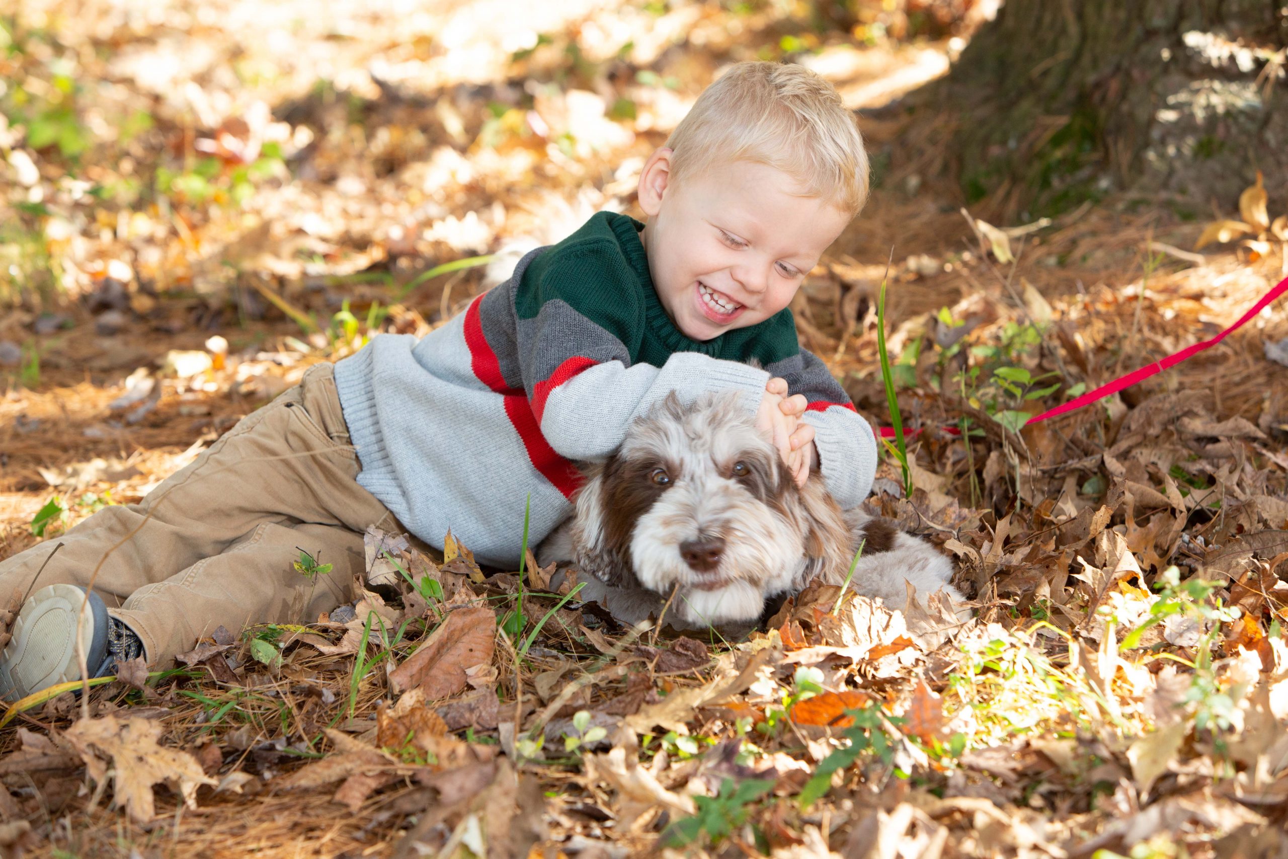 Mini Session Gallery – Jessica Rist